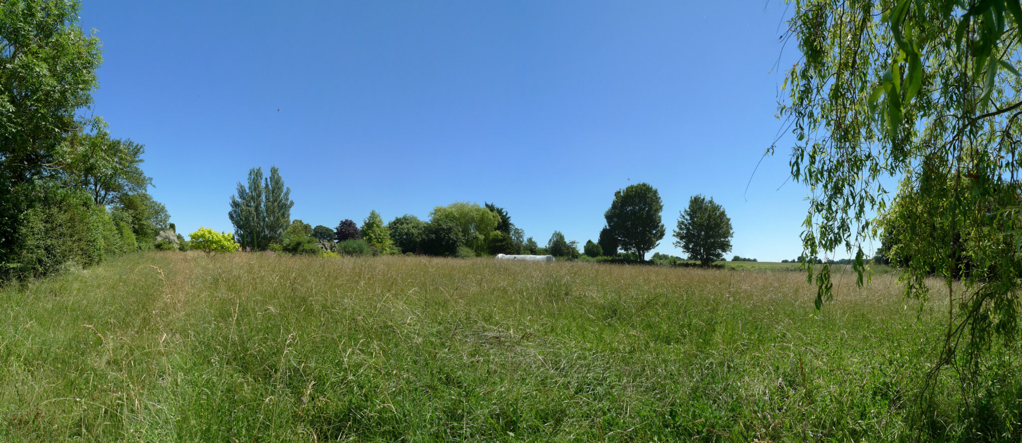 CEDAR HOUSE - COCOON